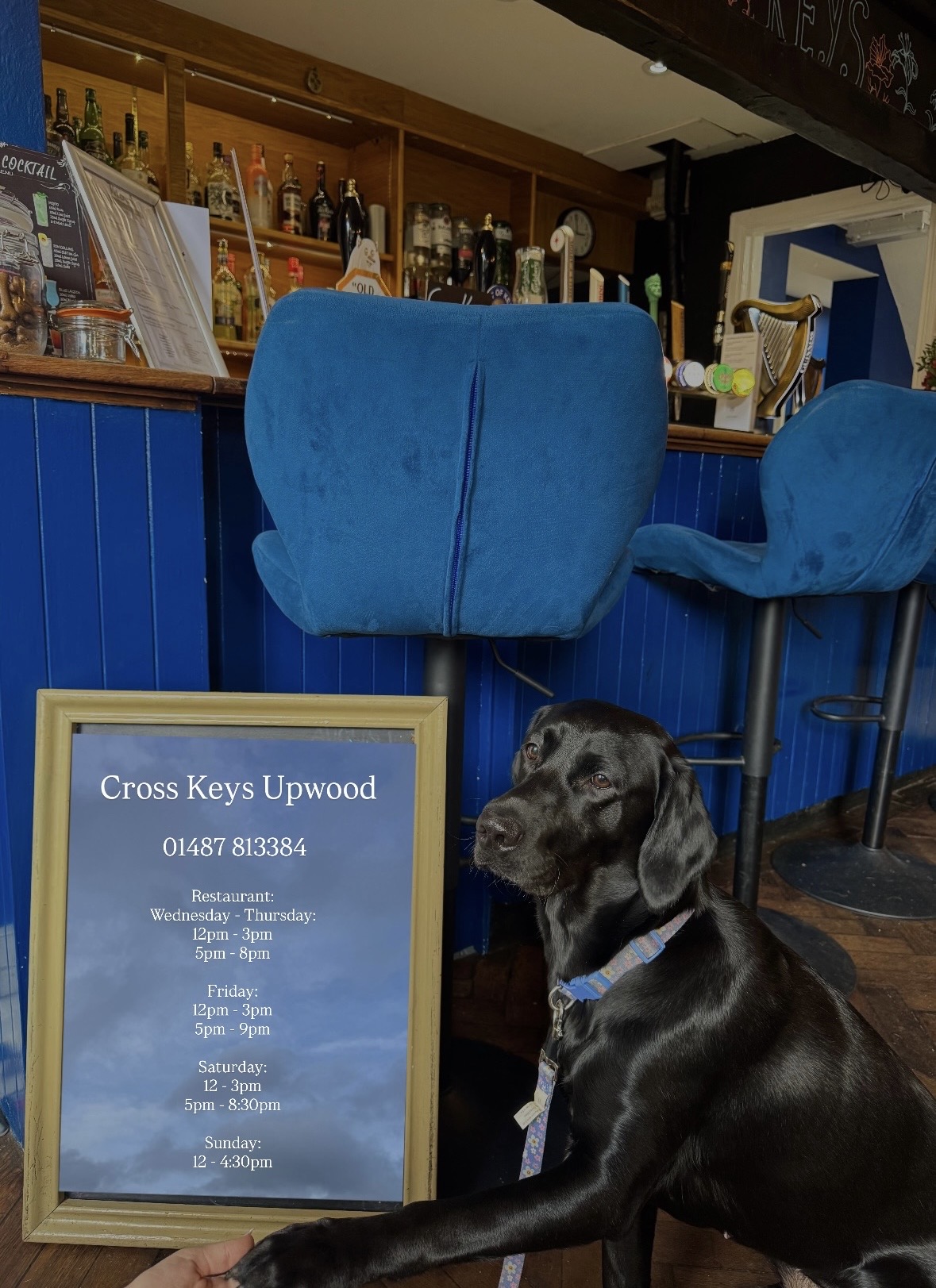 Dog Friendly Pub - Cross Keys Restaurant & Pub